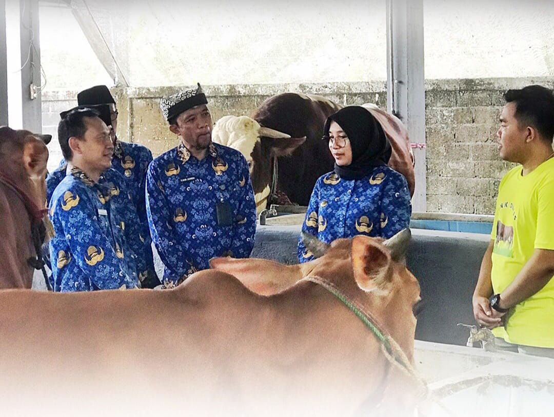 Dari Hobi, Adam Suganda Sukses Menjadi Pengusaha Ternak Sapi dan Domba ...